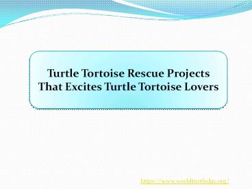 PPT – Turtle Tortoise Rescue Projects That Excites Turtle Tortoise ...