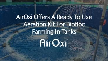 PPT – Airoxi Offers A Ready To Use Aeration Kit For Biofloc Farming In ...