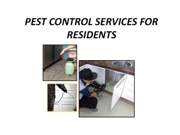 PPT – Pest control services for residents PowerPoint presentation ...