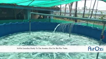 PPT – AirOxi Launches Ready To Use Aeration Kits For Bio-Floc Tanks ...