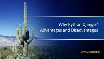 Why Python Django? Advantages and Disadvantages presentation | free to download
