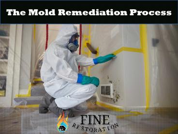 PPT – The Mold Remediation Process PowerPoint presentation | free to ...