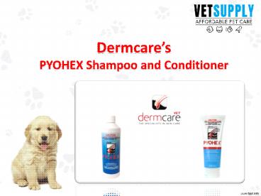 PPT – Pyohex Medicated Shampoo and Conditioner For Dogs PowerPoint ...
