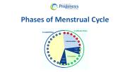 PPT – Menstrual Cycle PowerPoint presentation | free to download - id ...