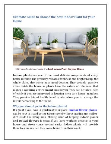 Ultimate Guide to choose the best Indoor Plant for your Home ...