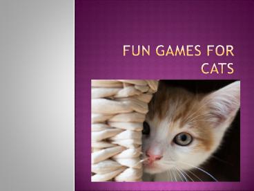 PPT – Fun games for Cats PowerPoint presentation | free to download ...