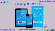 PPT – Benefits Of Binary Mlm Software For Startup | MLM Software in Delhi PowerPoint ...