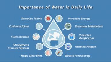 Water for life – Why is Water so Important to Us? presentation | free ...
