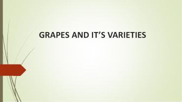 GRAPES AND IT’S VARIETIES presentation | free to download