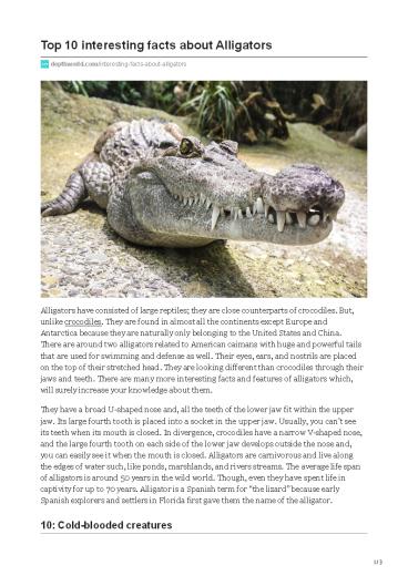 Top 10 interesting facts about Alligators - Depth World presentation ...