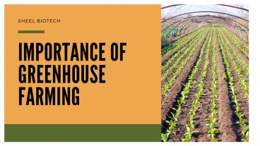 Importance of greenhouse farming presentation | free to download