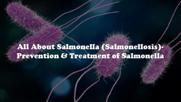 All About Salmonella (Salmonellosis)- Prevention & Treatment of ...