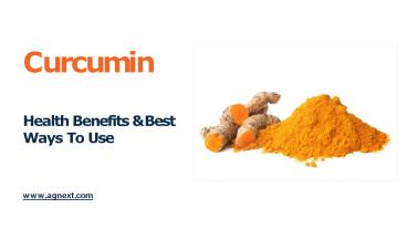 What is Curcumin? What are its health benefits and the best ways to use ...