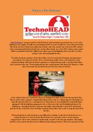 PPT – FIRE HYDRANT PowerPoint presentation | free to view - id: 143f5e ...