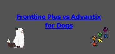 Frontline Plus vs Advantix for Dogs presentation | free to download