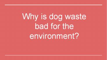 Why Is Dog Waste Bad For The Environment