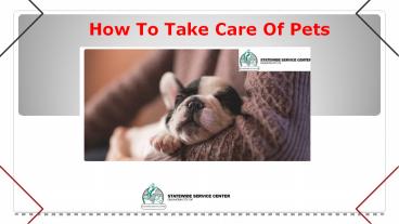 How to take care of pets presentation | free to download