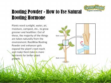 How to use rooting hormones for plant growth | growmate presentation ...