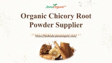 PPT – Organic Chicory Root Powder Supplier | Bulk Chicory Root Powder ...