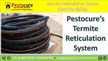 PPT – Termite Reticulation (Termite Piping) System in Hyderabad ...