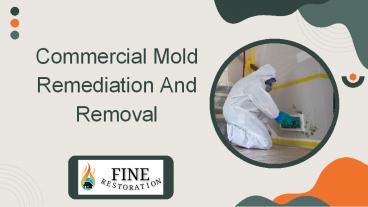 PPT – Commercial Mold Remediation And Removal PowerPoint presentation ...