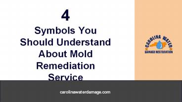 PPT – 4 Symbols You Should Understand About Mold Remediation Service ...
