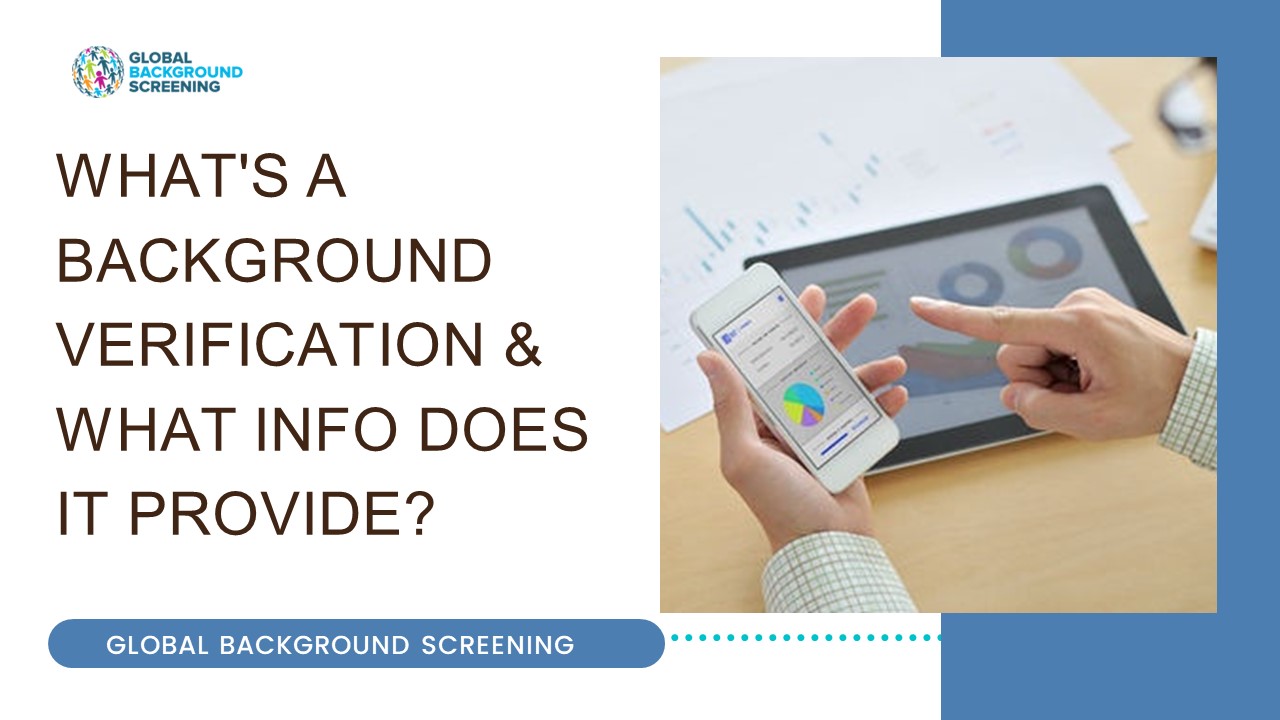 What's a Background Verification & What Info Does It Provide ...
