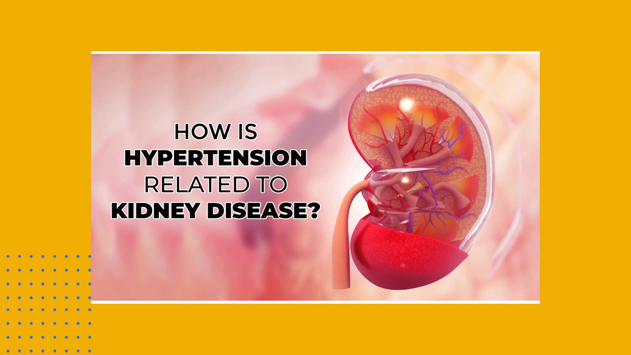 How is Hypertension Related to Kidney Disease? presentation | free to ...