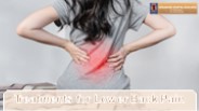 PPT – Acute Low Back Pain PowerPoint presentation | free to view - id ...