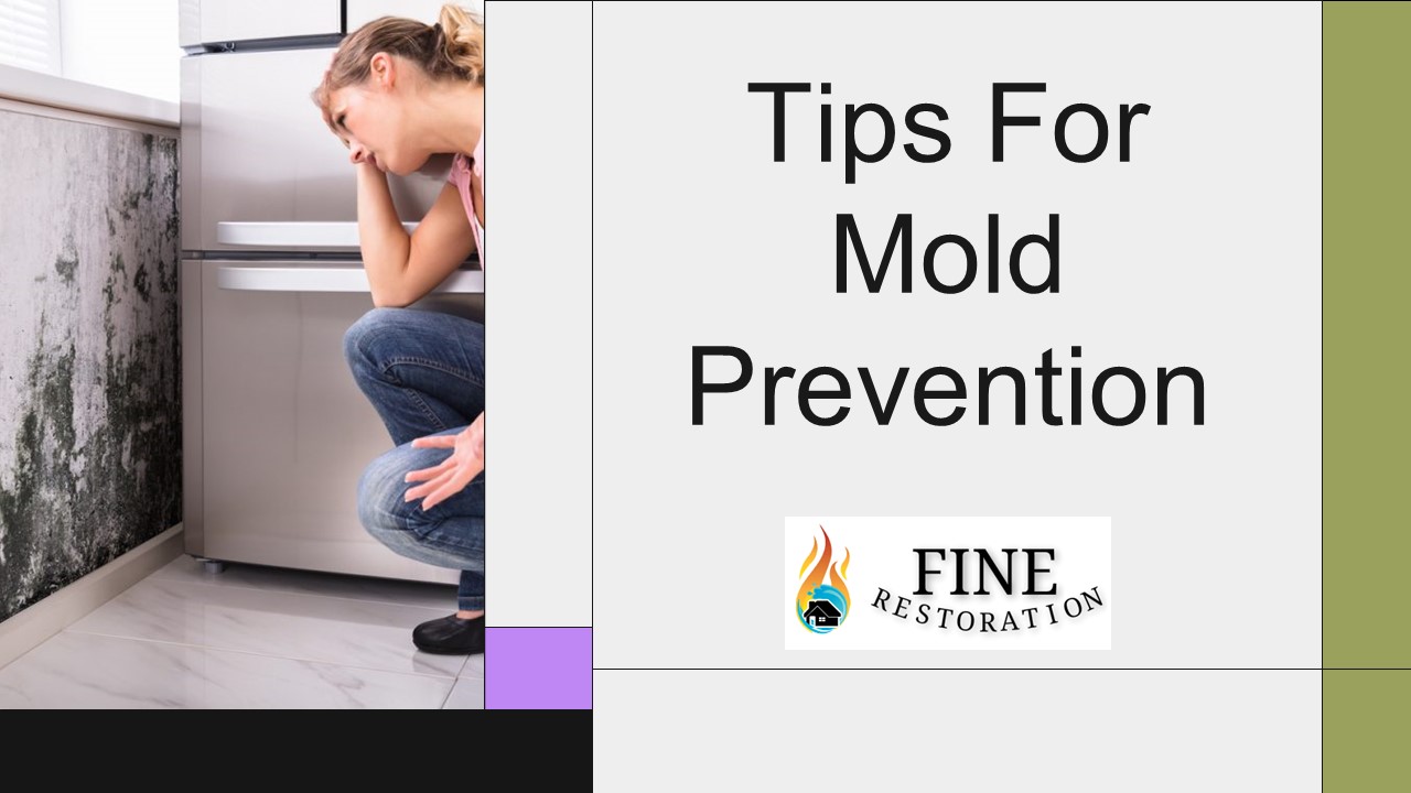 PPT – Tips For Mold Prevention PowerPoint presentation | free to ...