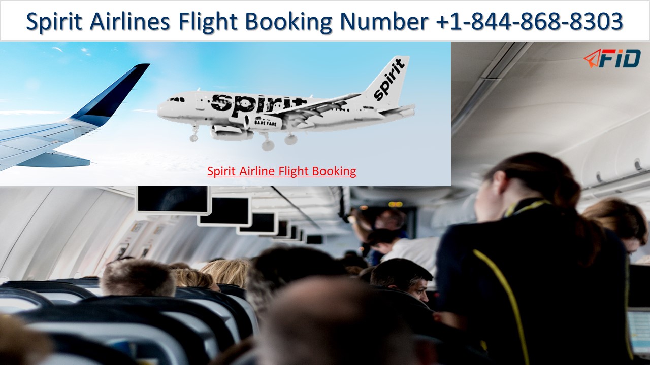 PPT – Spirit Airlines Flight Booking Number PowerPoint presentation ...
