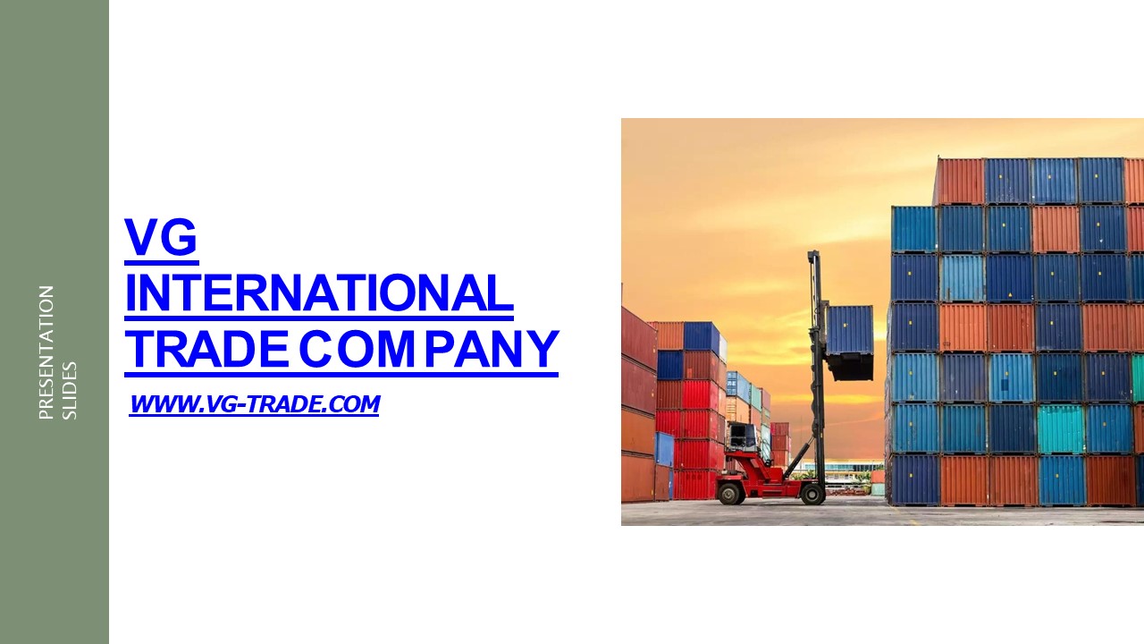 VG International Trade Company presentation | free to download