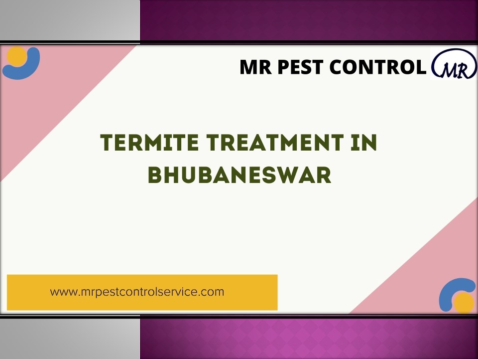 PPT – Termite Treatment In Bhubaneswar: Get Rid of Termites for Good ...