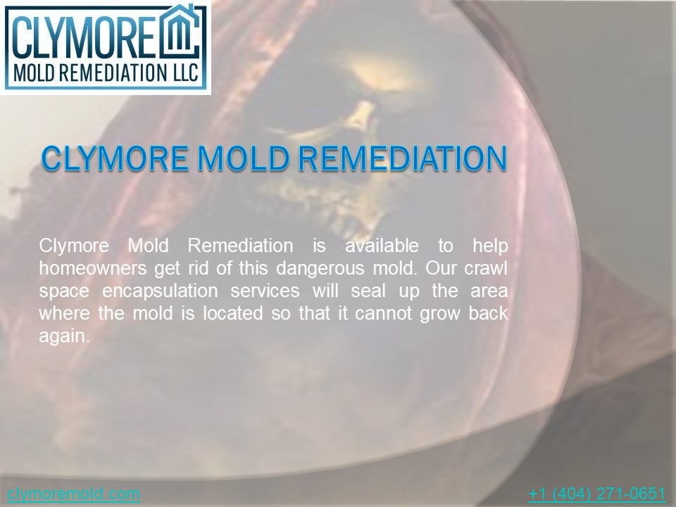 PPT – Clymore Mold Remediation PowerPoint presentation | free to ...
