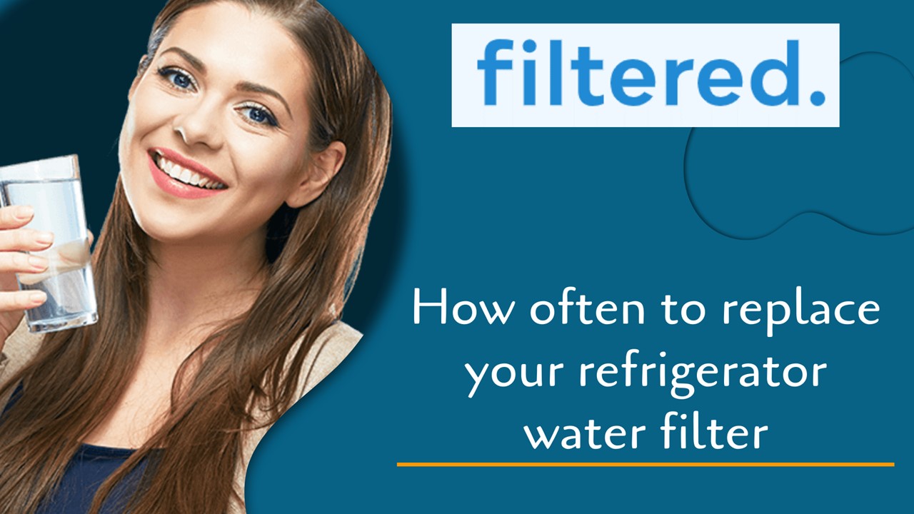 Importance Of Replacing Your Old Inline Filteration System presentation ...