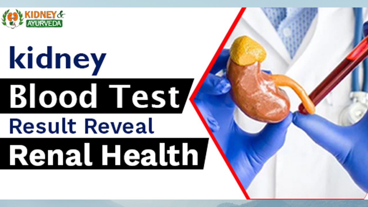 What does a kidney blood test result reveal about your renal health ...