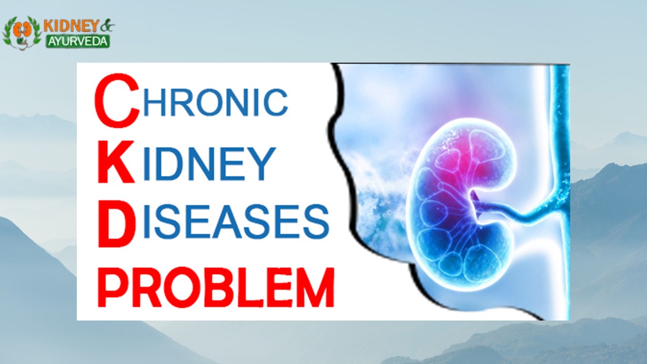 How to find the CKD problem in the Human body? presentation | free to ...