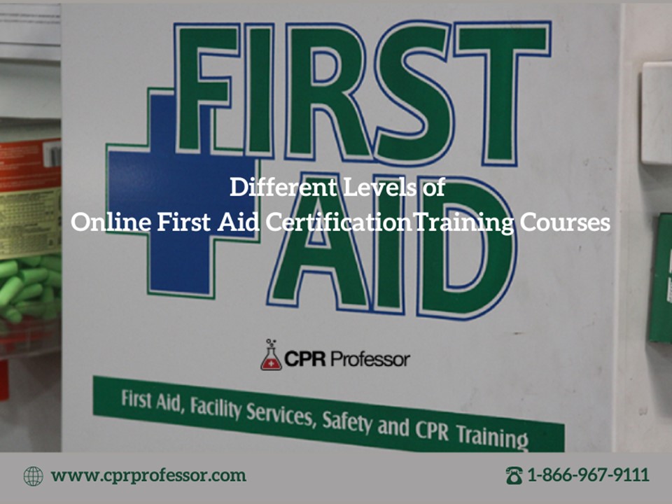PPT – Different Levels of Online First Aid Certification Training ...
