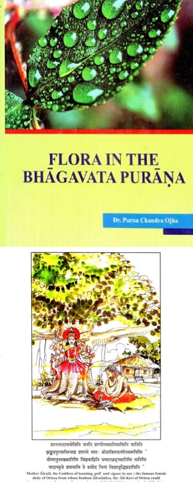 PPT – Books On Hindu Mythology And Puranas PowerPoint presentation ...