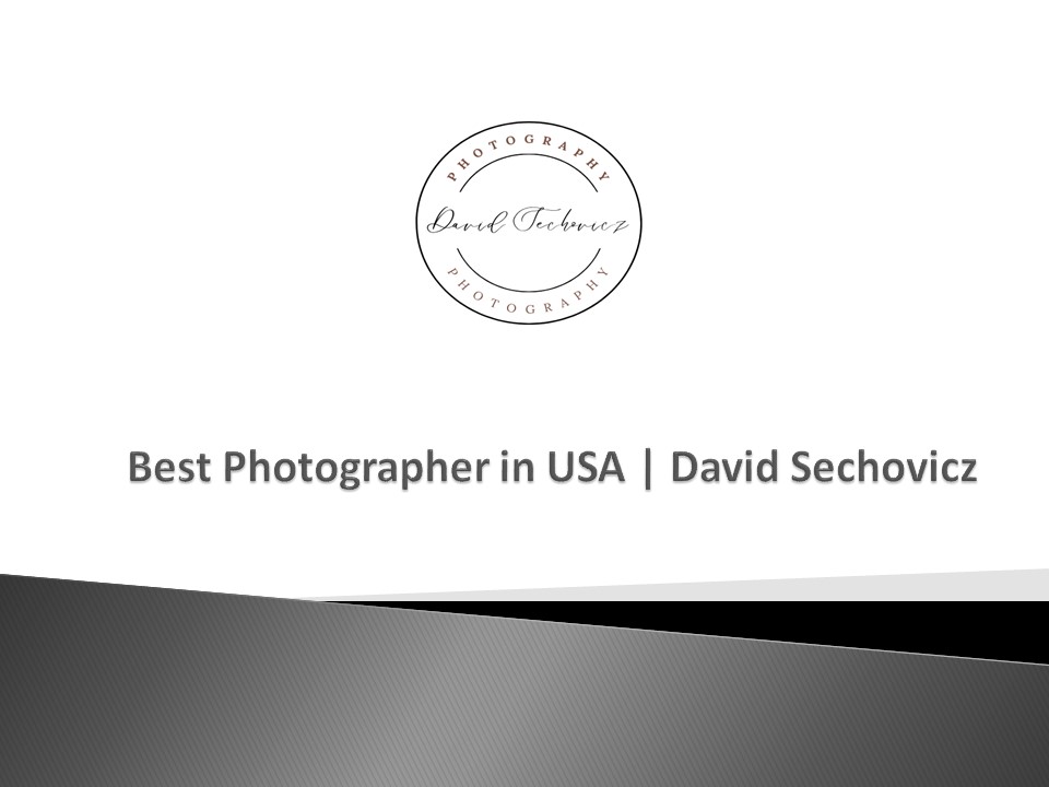 PPT – Best Photographer in USA- David Sechovicz PowerPoint presentation ...