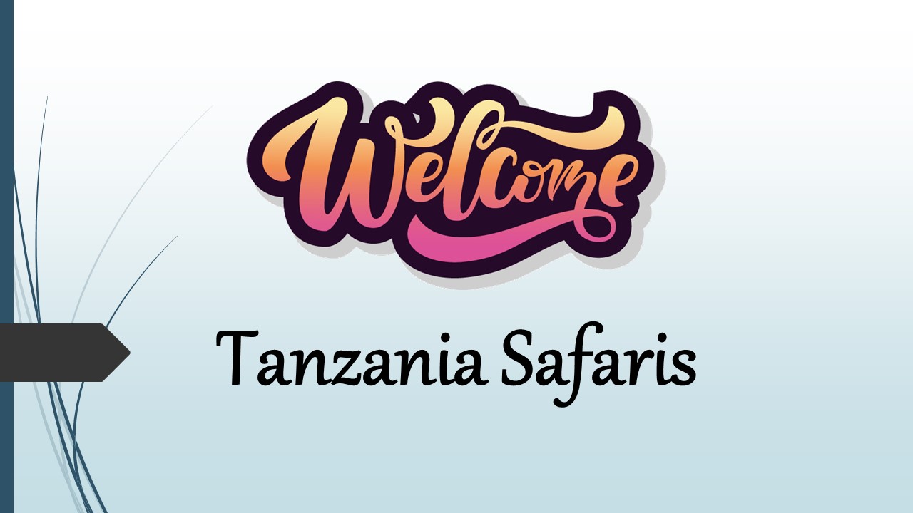 PPT – About Tanzania Safaris Tour Operator PowerPoint presentation | free to download - id ...