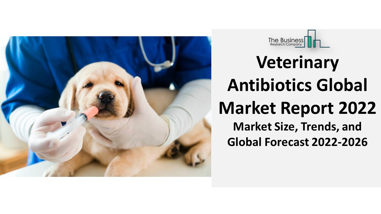PPT – Veterinary Antibiotics Market Research, Opportunities, Growth And ...