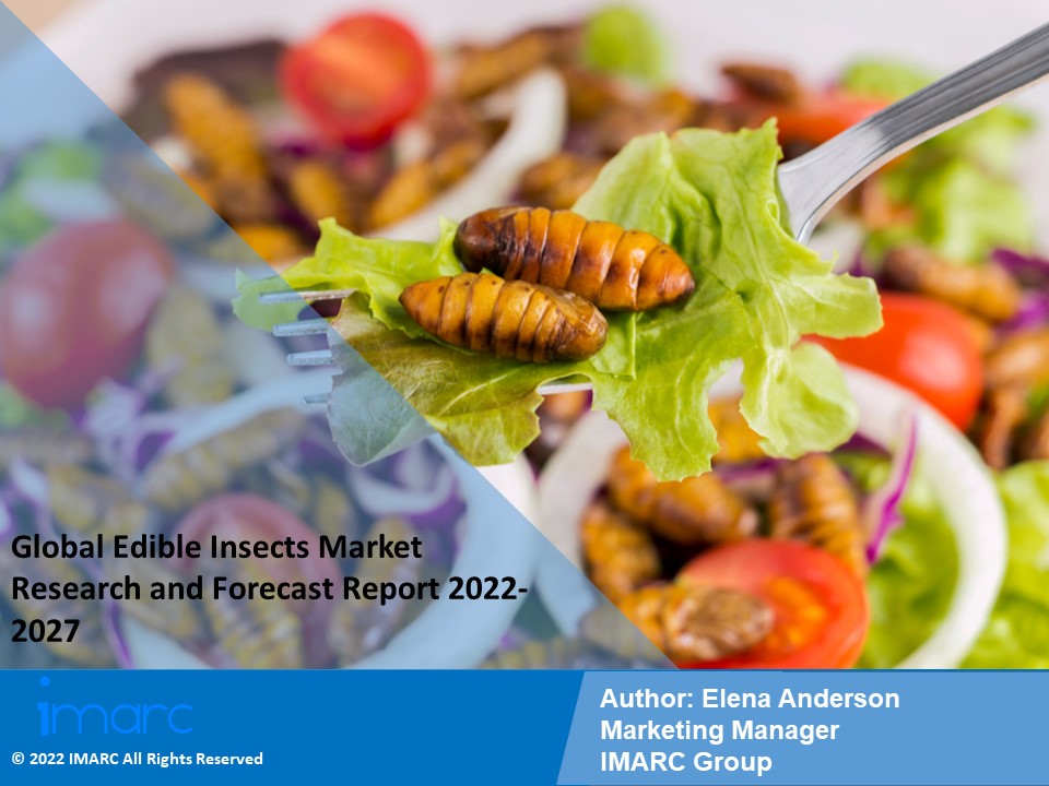 Edible Insects Market PPT: Growth, Outlook, Demand, Keyplayer Analysis ...