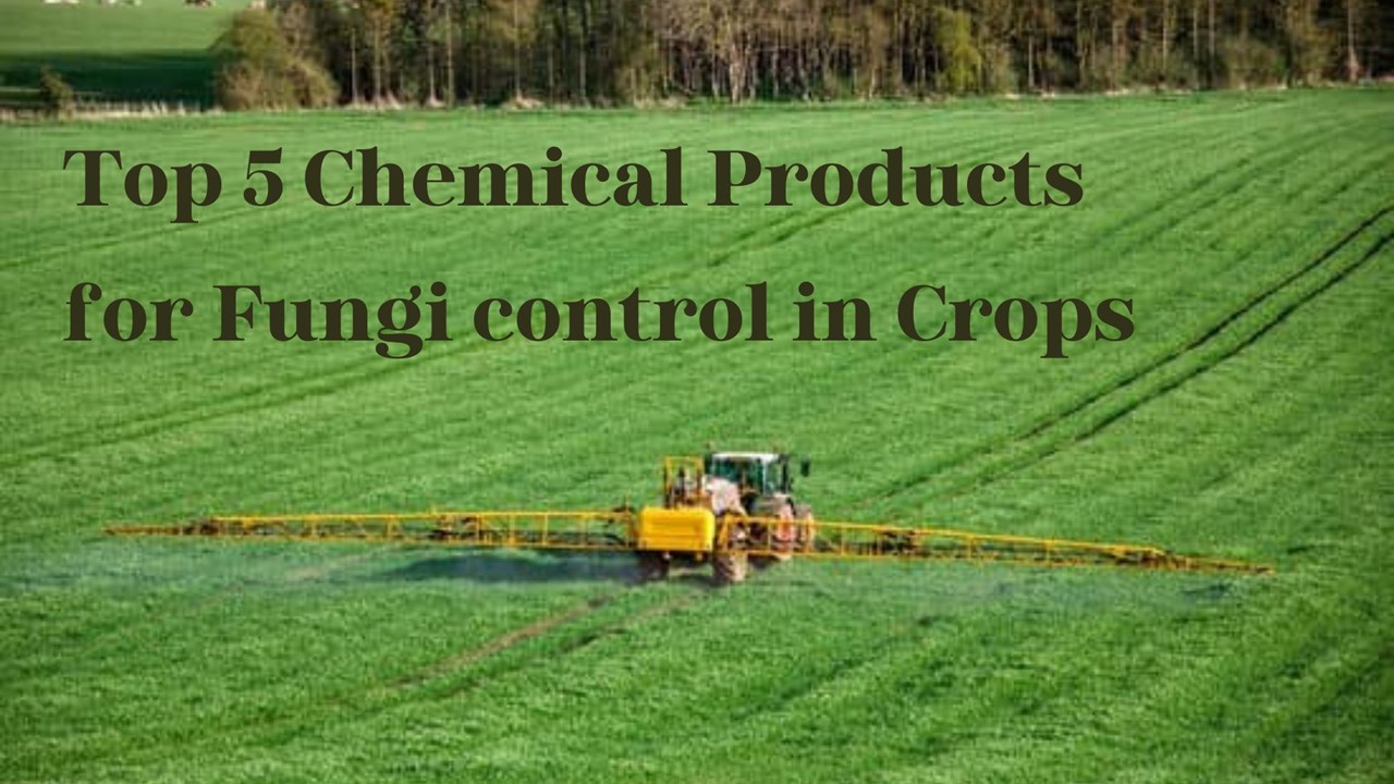 Top 5 Chemical Products for Fungi Control in Crops presentation | free ...