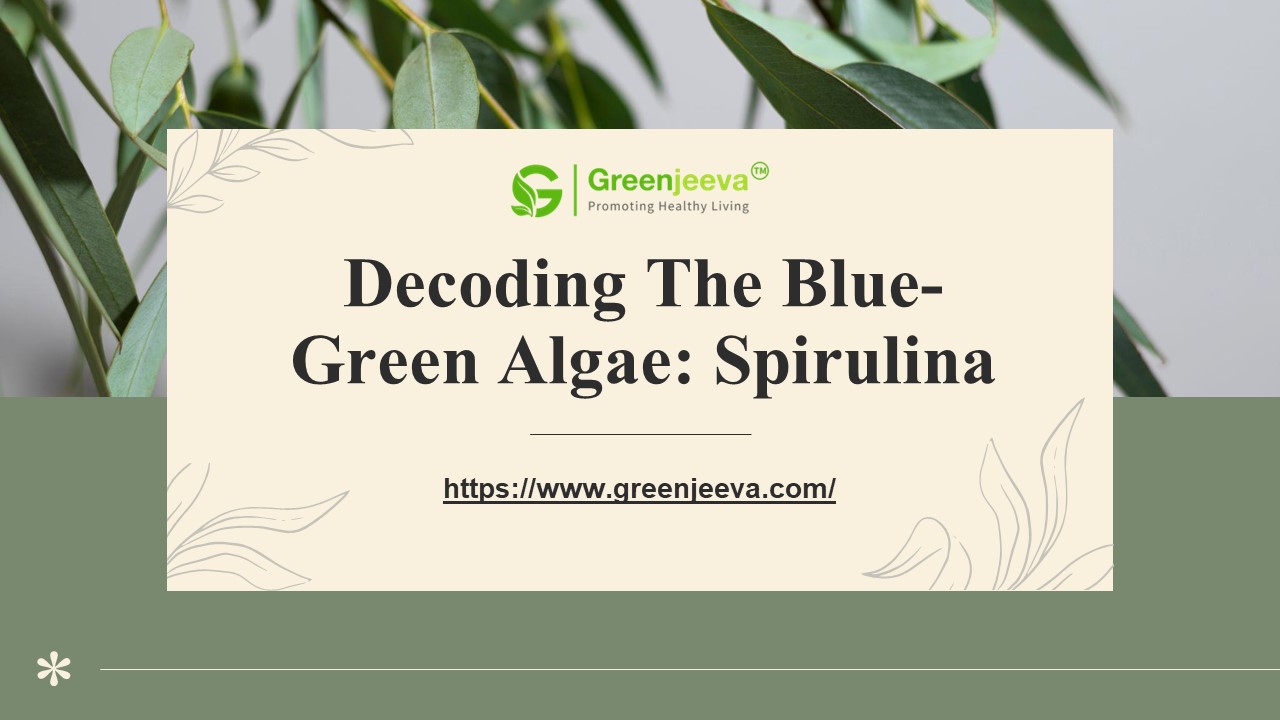 PPT – Decoding The Blue-Green Algae: Spirulina PowerPoint presentation ...