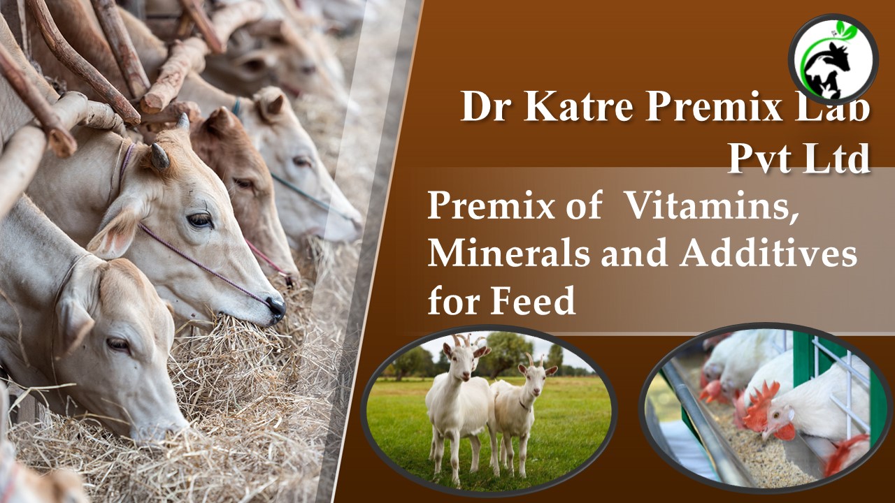 Premix of vitamins, minerals and additives for feed by Dr Katre Premix ...