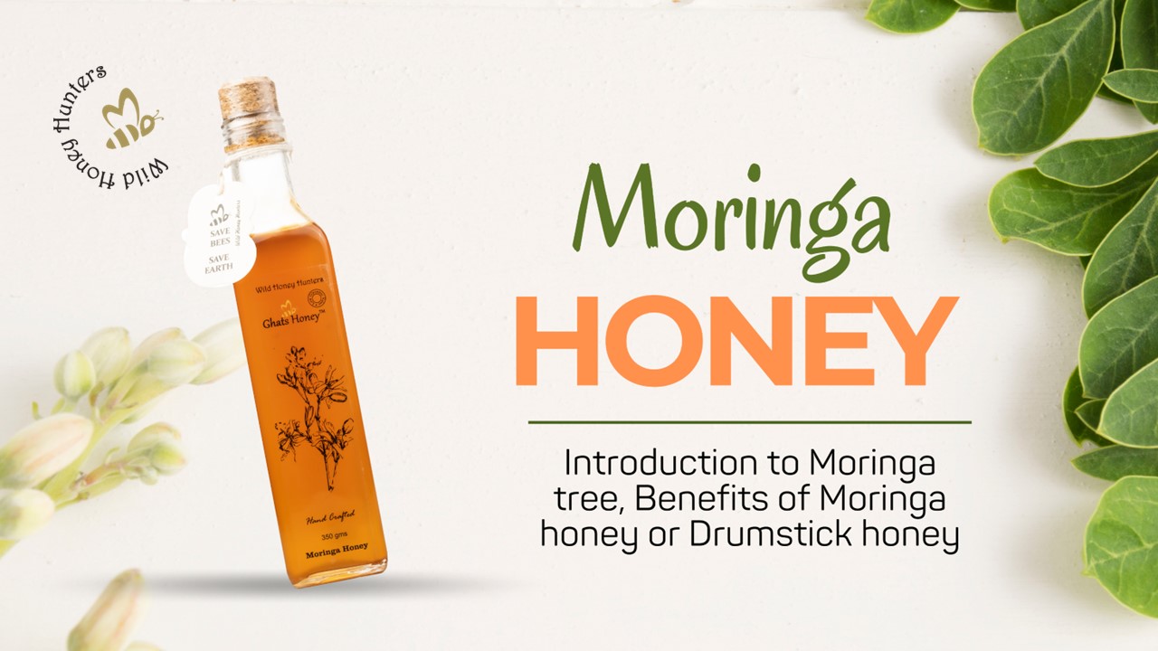 PPT – All about Moringa from Moringa tree to Moringa honey-Wild honey hunters PowerPoint ...