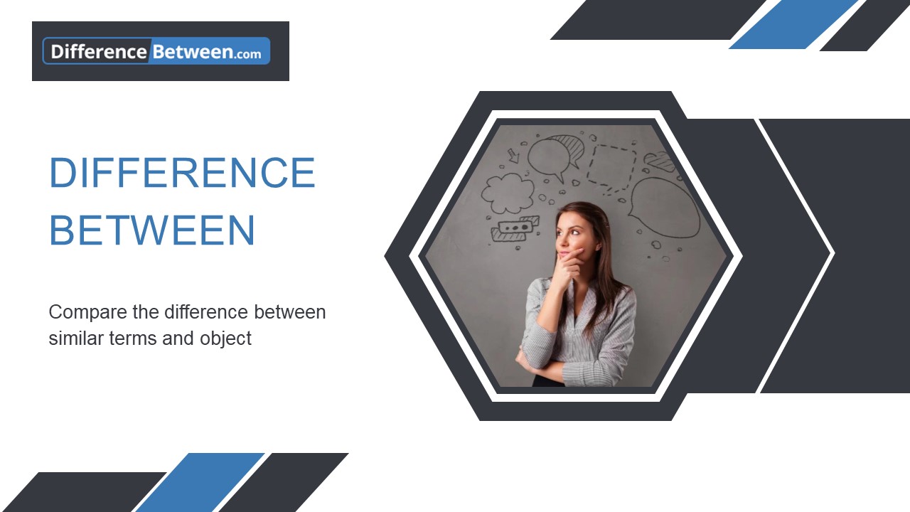 PPT – Two similar terms (1) PowerPoint presentation | free to download ...