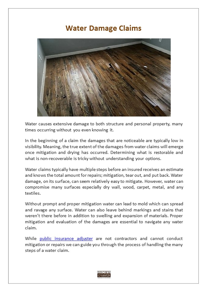 Water Damage Claims presentation | free to download