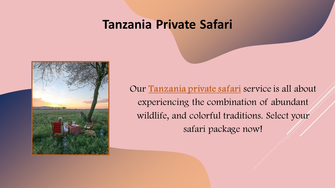 Tanzania Private Safari presentation | free to download